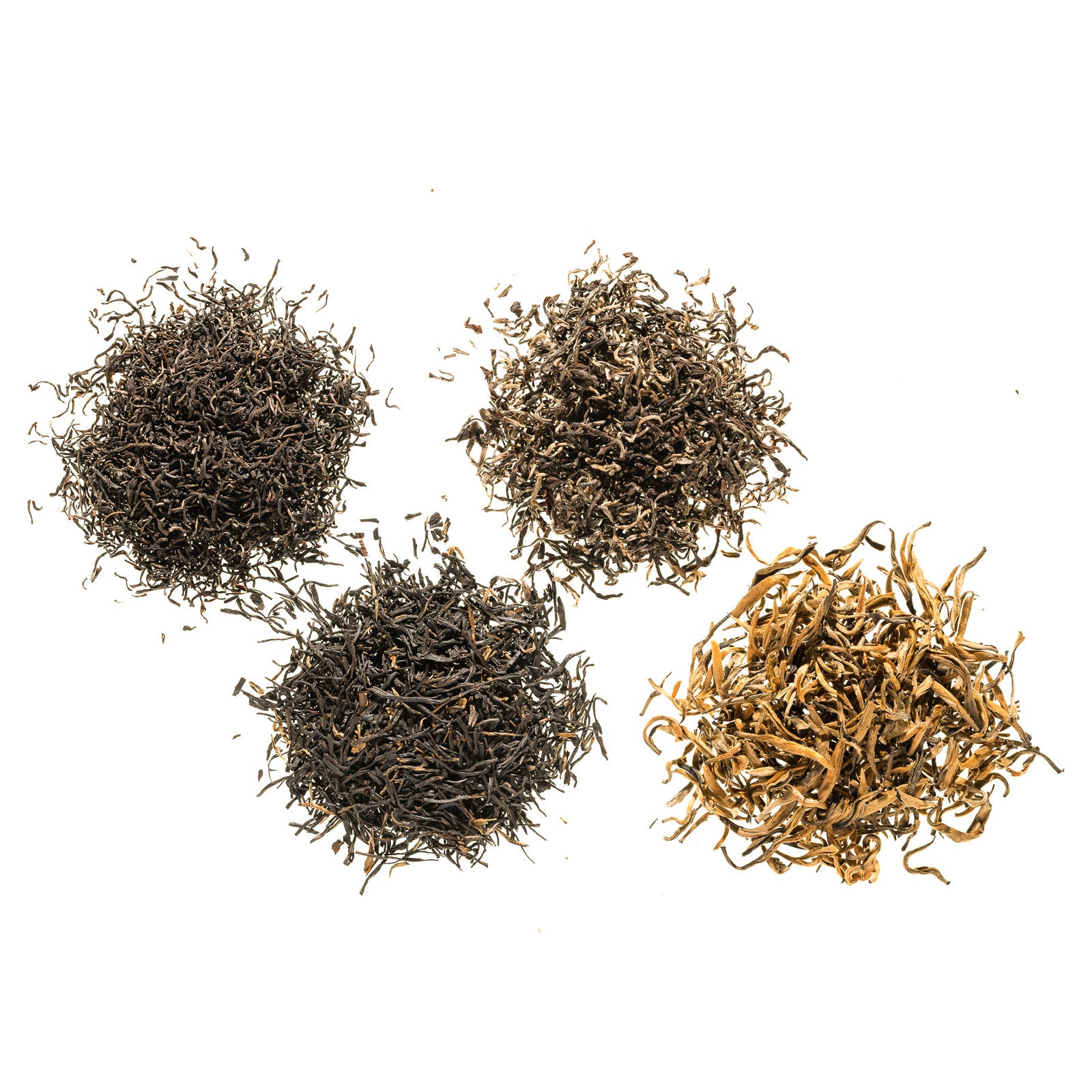 Haelssen & Lyon North America Corp. – Haelssen & Lyon North America Corp.